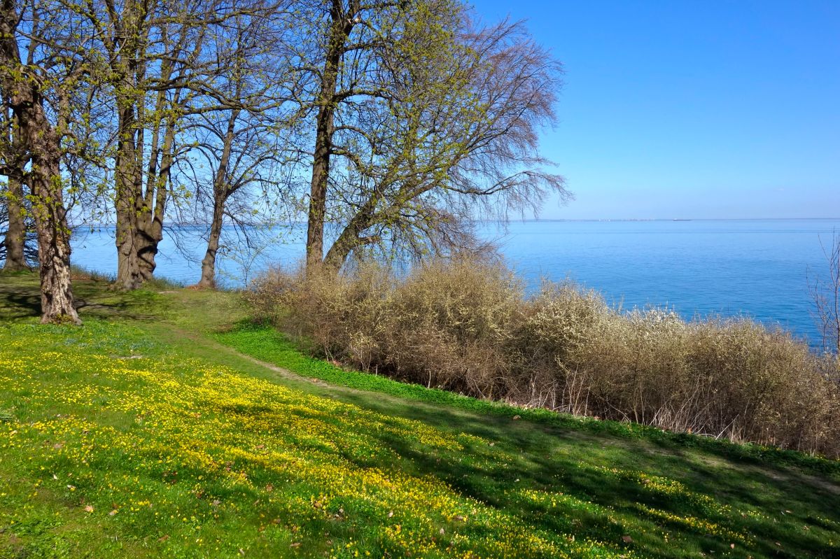 Freya’s Hall | HANNA'S WALK