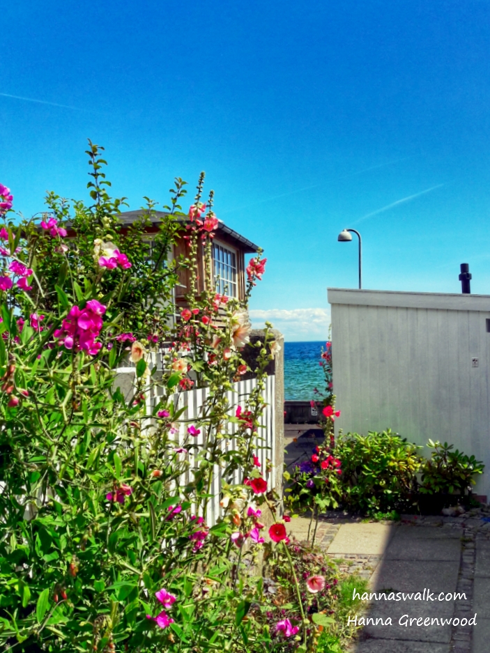 A Bike Ride On Route N9 | HANNA'S WALK